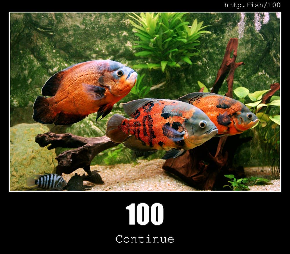 100 Continue - HTTP status code and cats!