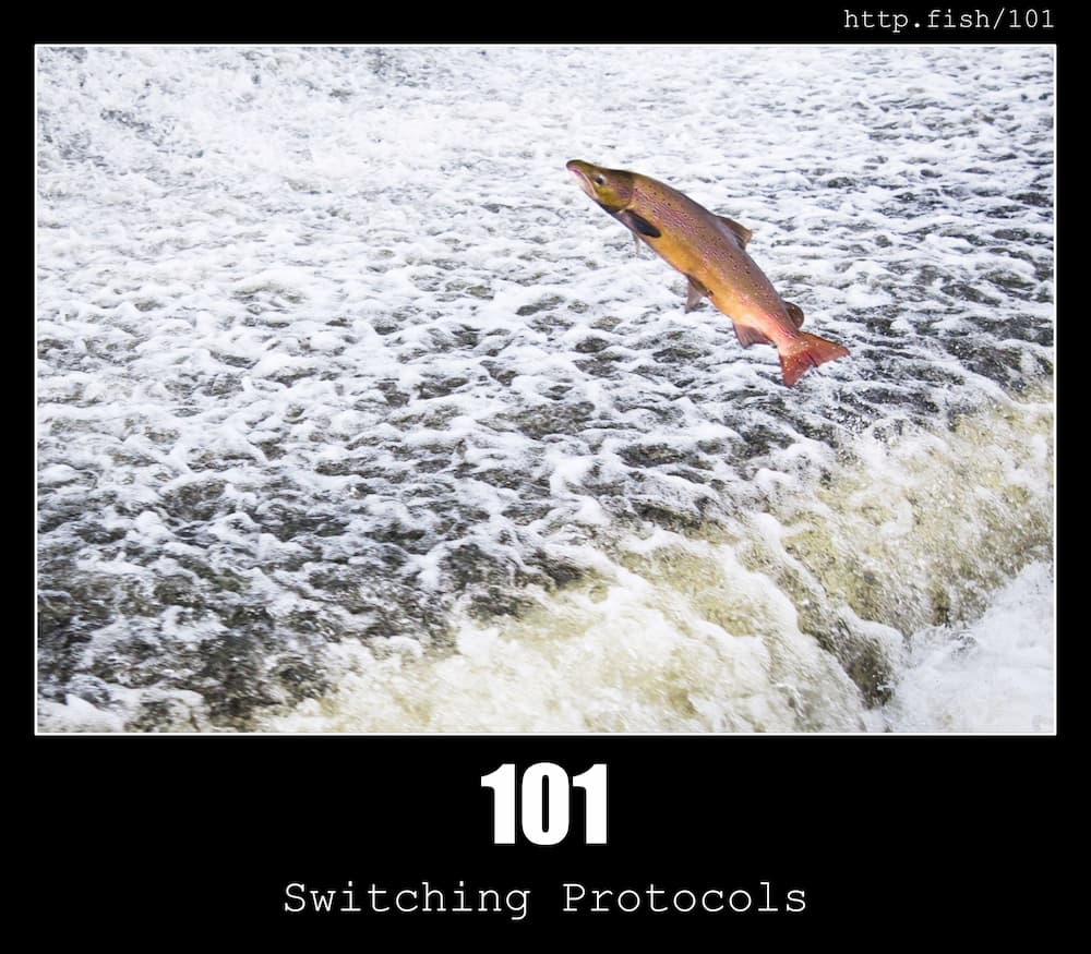 101 Switching Protocols - HTTP status code and dogs!