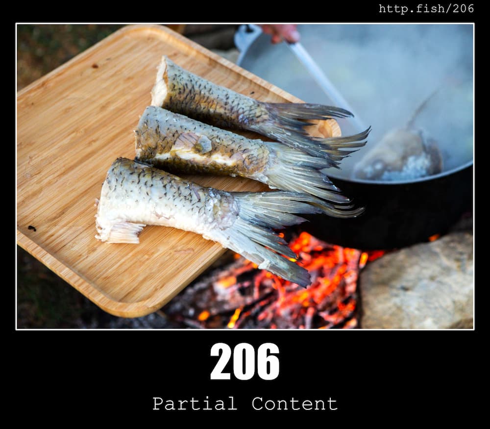 206 Partial Content - HTTP status code and dogs!