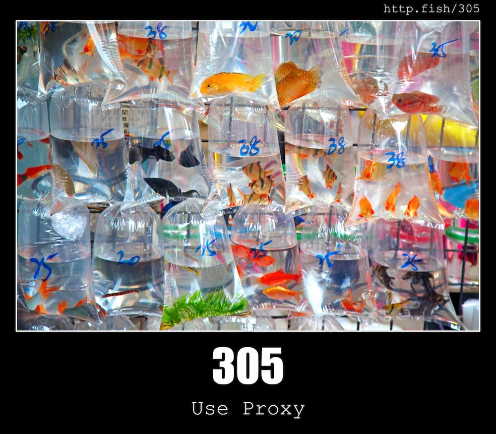 305 Use Proxy - HTTP status code and dogs!