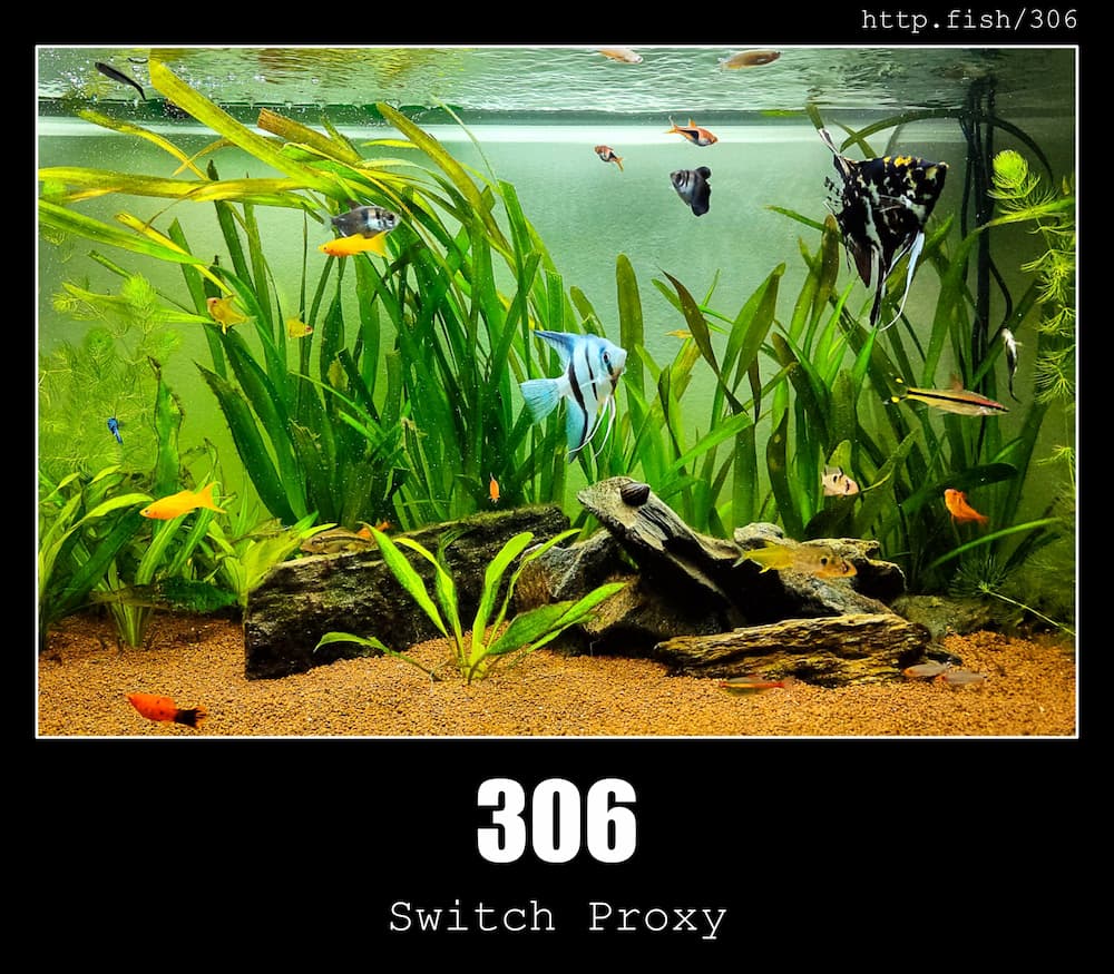 HTTP Status Fish API - A fish image for every HTTP Status Code