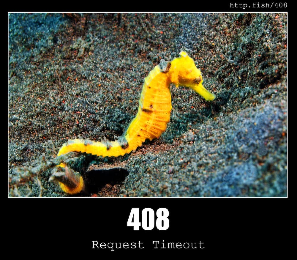 408 Request Timeout - HTTP status code and dogs!