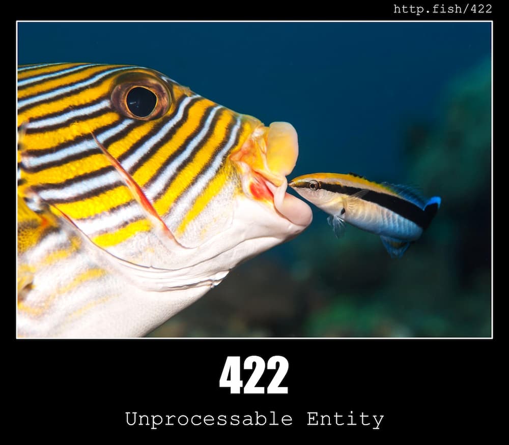 422 Unprocessable Entity - HTTP status code and cats! 422 Unprocessable Entity - HTTP status code and cats!